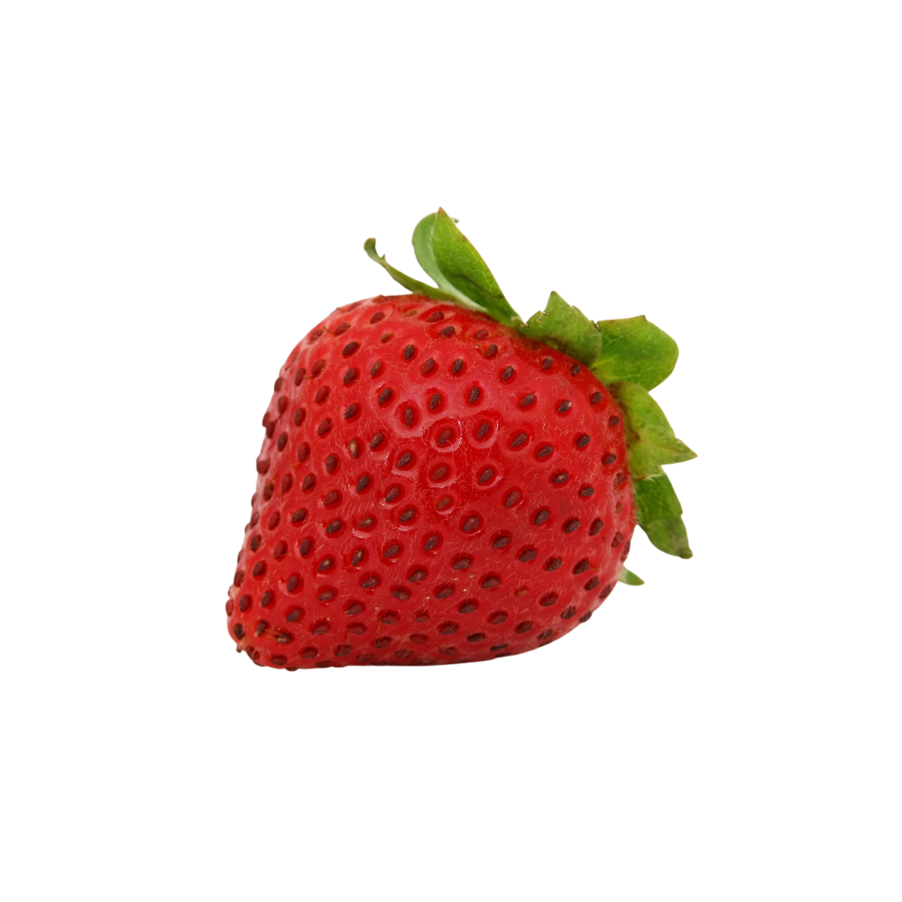 Fresa Domo 450gr. - Zona Verde